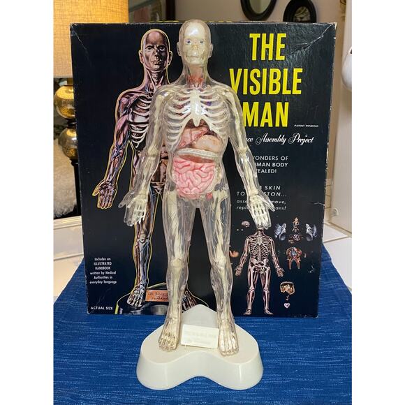 RENWAL | Toys | Vintage Renwal The Visible Man Model Kit 80 Complete ...